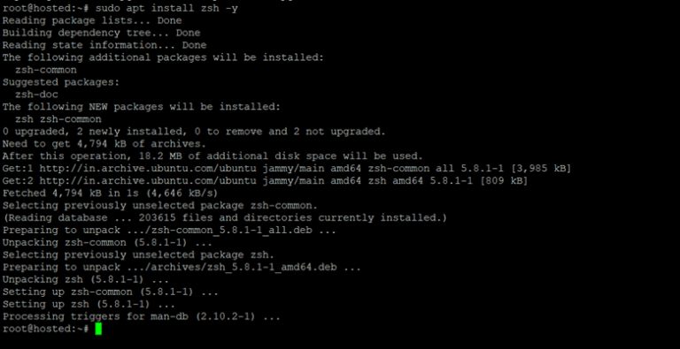Configure And Install Zsh Ubuntu Redswitches