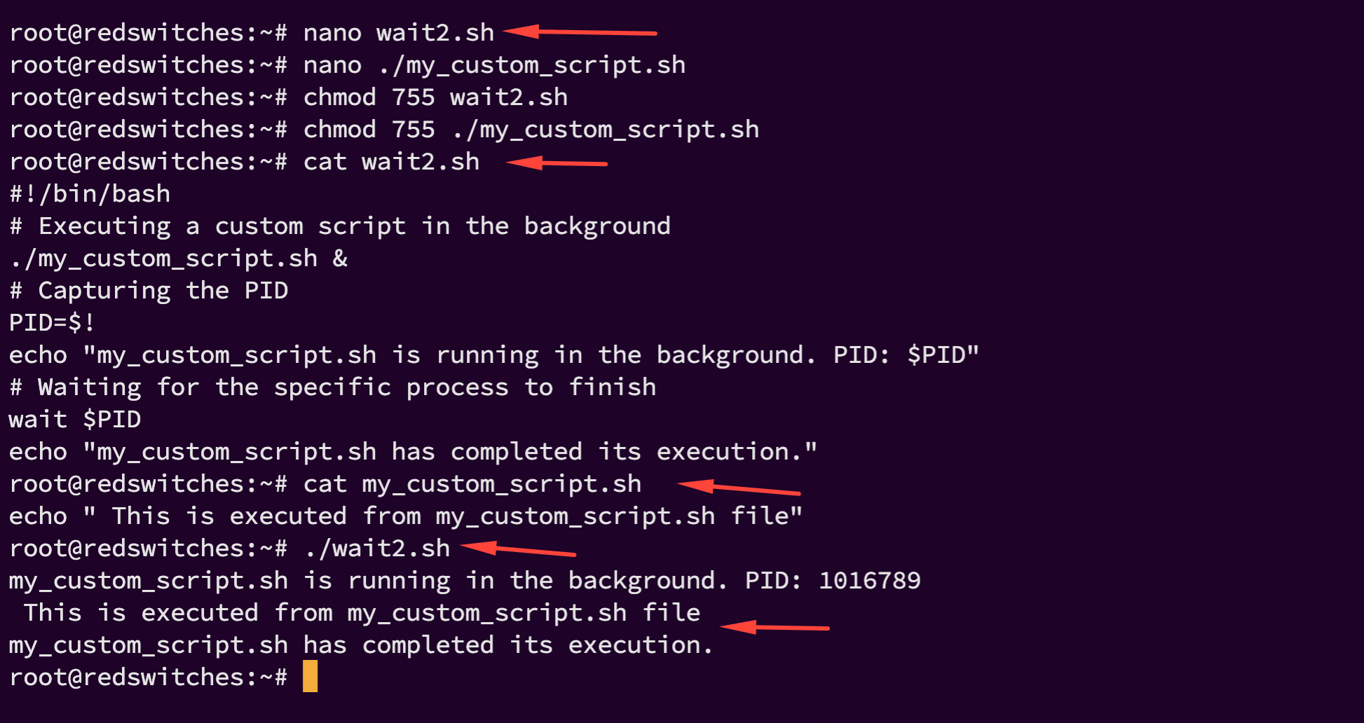 Bash Wait Command In Linux With 4 Best Examples