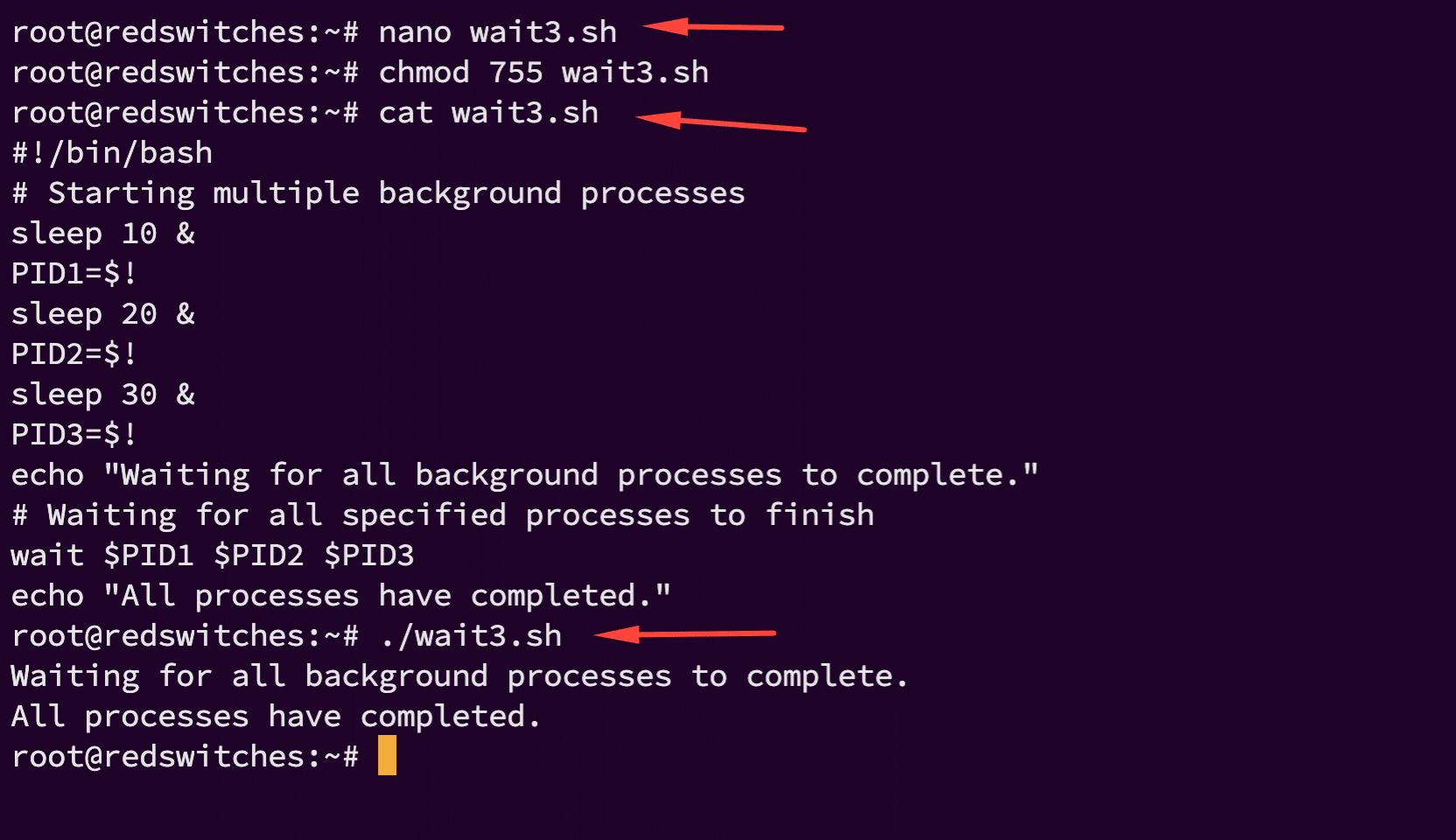 Bash Wait Command In Linux With 4 Best Examples