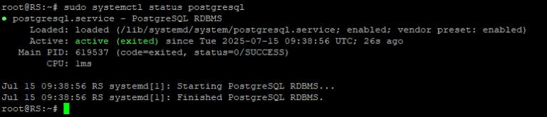 How To Install PostgreSQL On Ubuntu 24.04 (Step-by-Step Guide For 2025) - RedSwitches